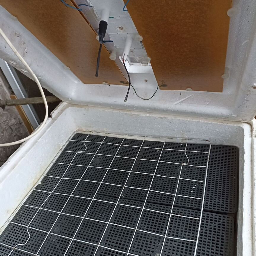 Инкубатор для яиц автоматический бу