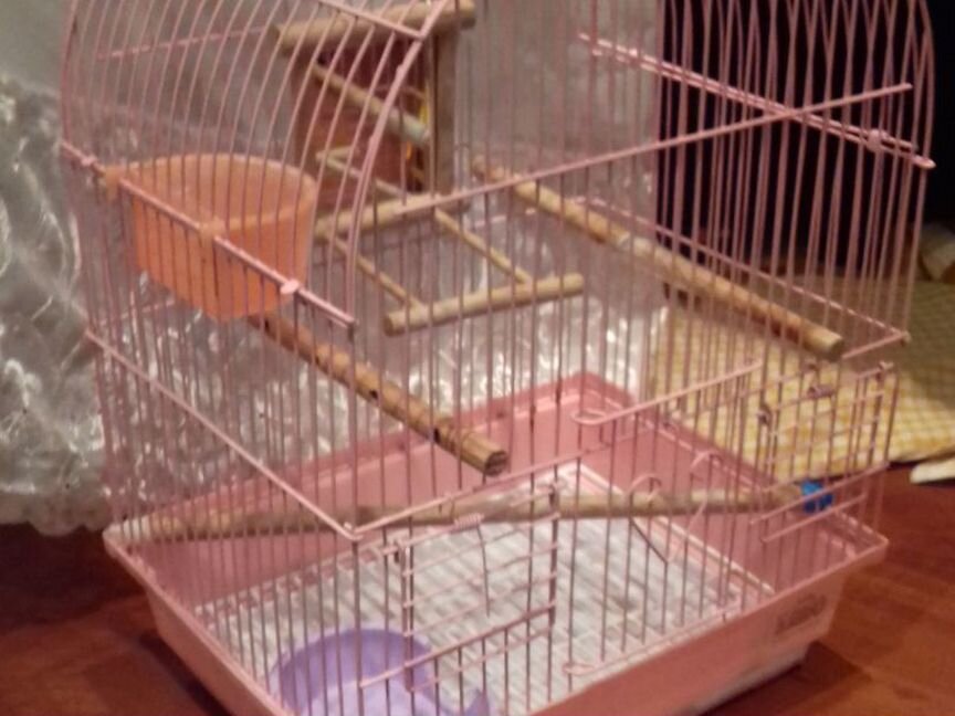 Клетка для птиц и принадлежности для птиц