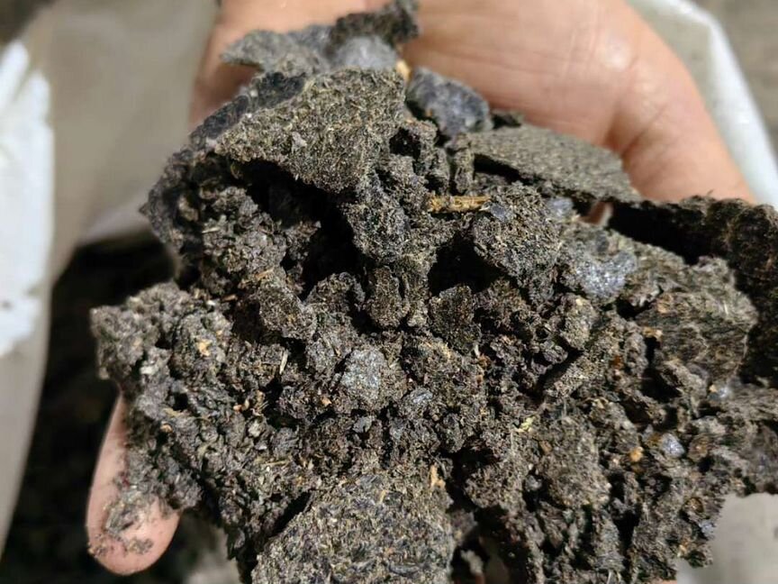 Жмых подсолнечный, жмых рапсовый