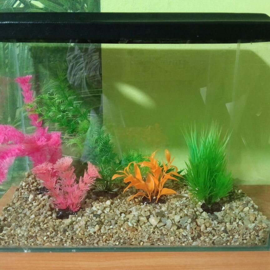 Аквариум с крышкой