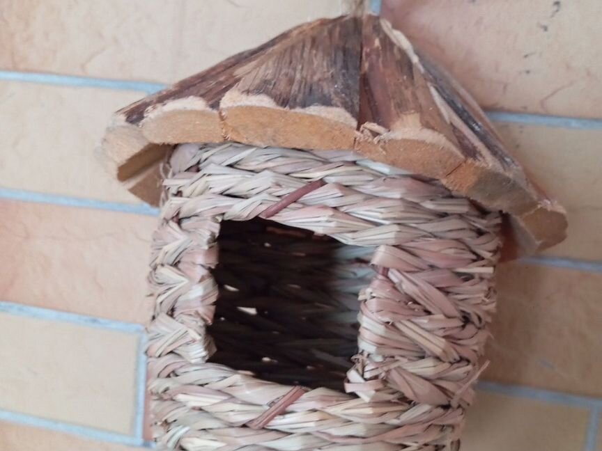 Скворечник кормушка гнездо