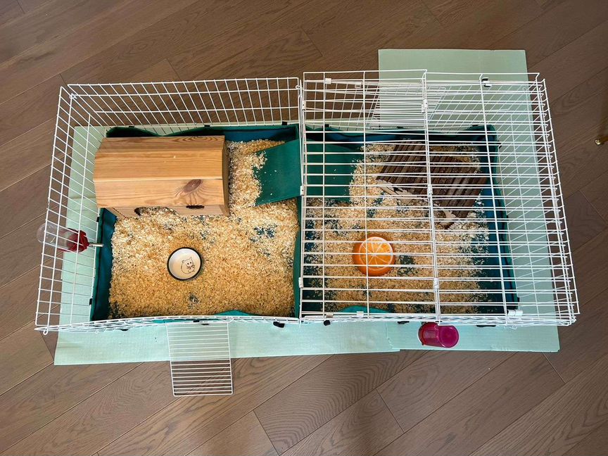 Клетка-вольер для грызунов
