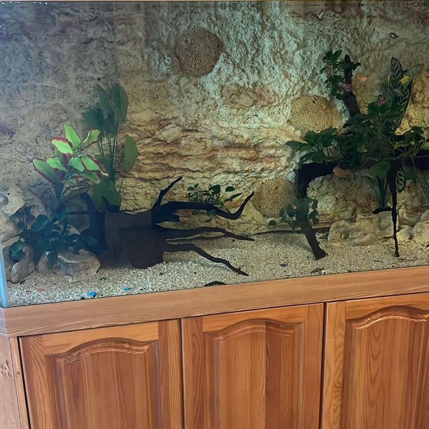 Аквариум на 500 литров