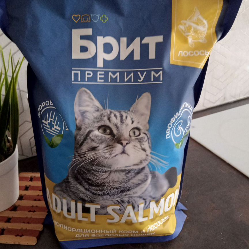 Сухой корм для кошек