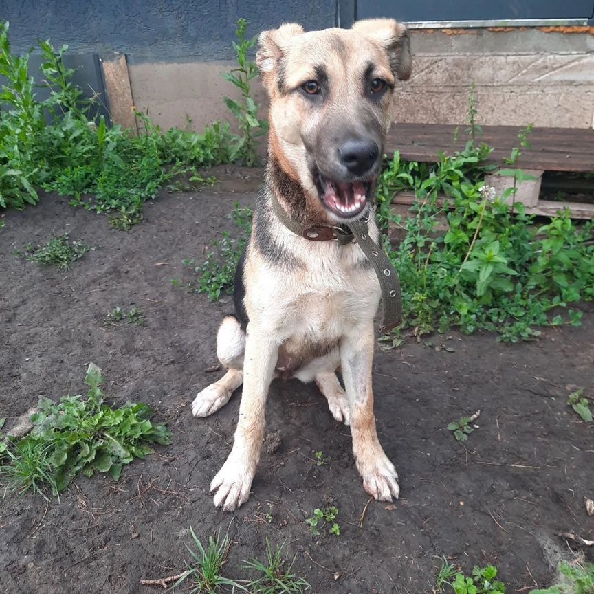 Ника 9 месяцев - ищет дом