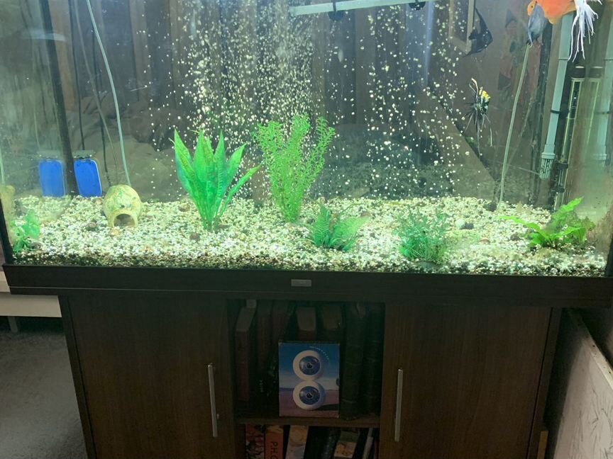 Аквариум с тумбой и рыбками