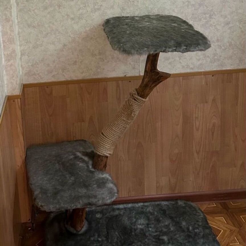 Когтеточка для кошек
