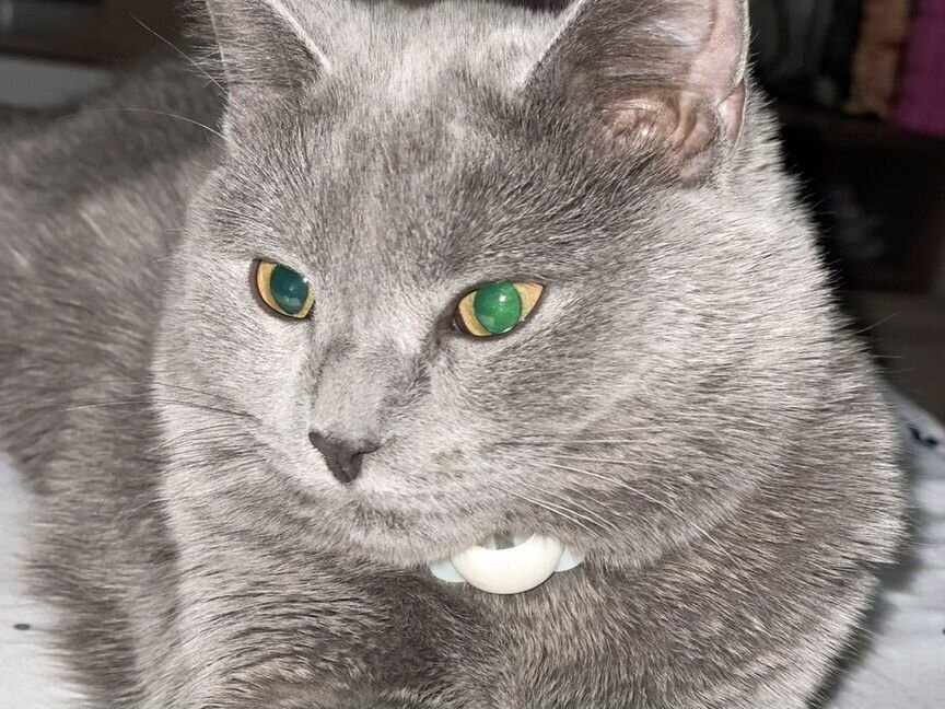 Вязка