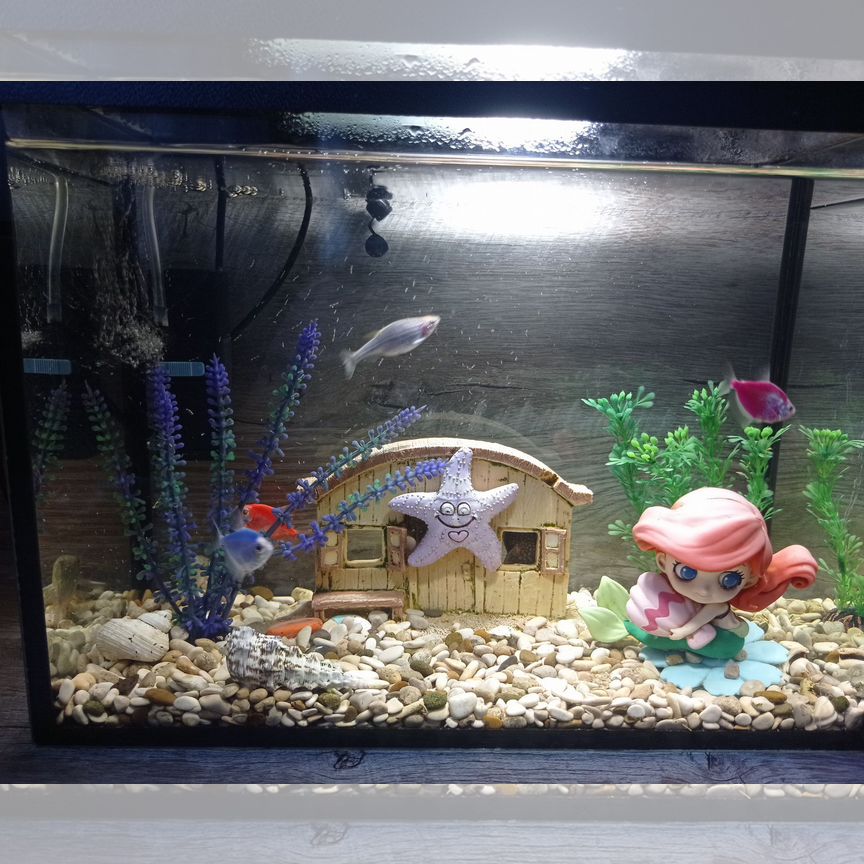 Аквариум с рыбками 15 литров