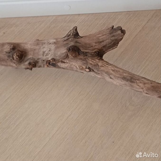Коряга дрифтвуд