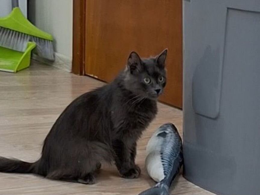 Не ждет