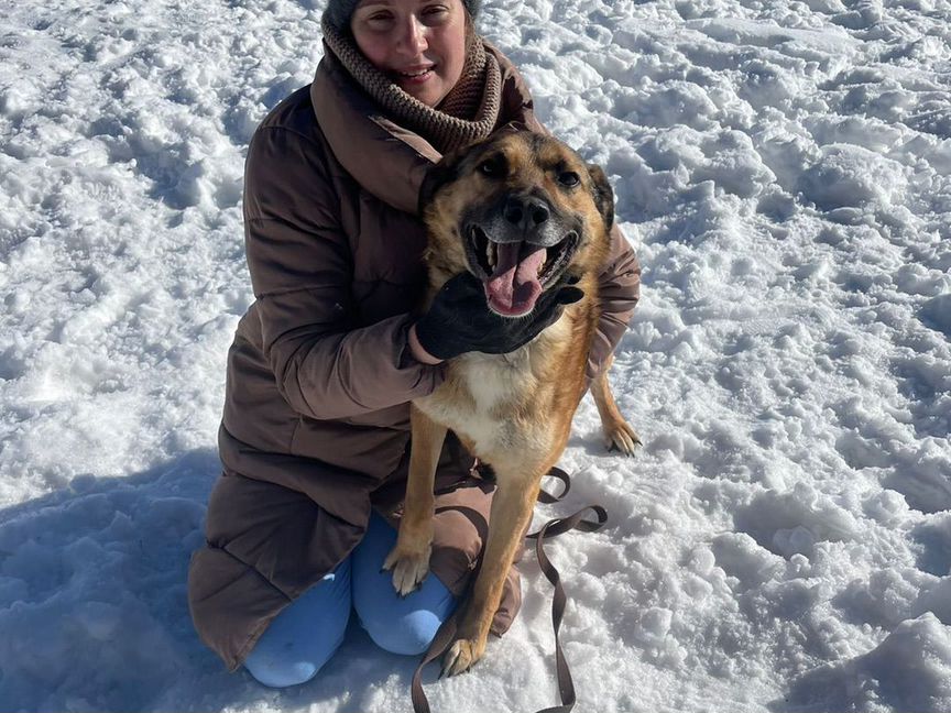 Для вас несколько лет, а для собаки целая жизнь