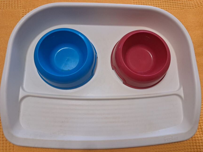 Аксессуары для собак