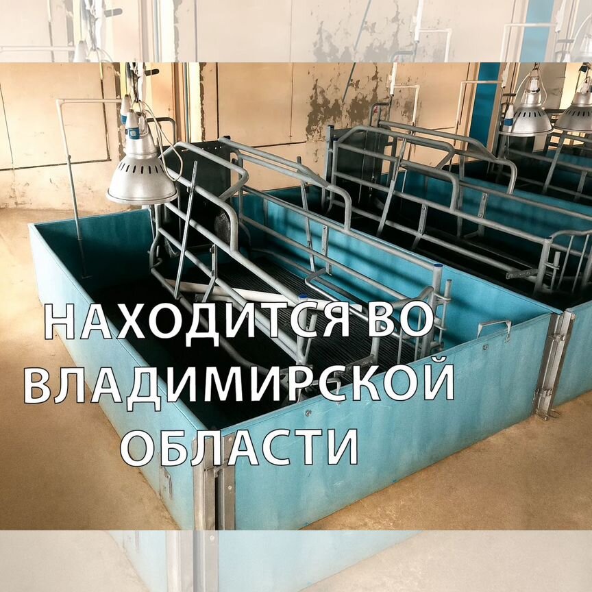 Клетки для свиней кормовые