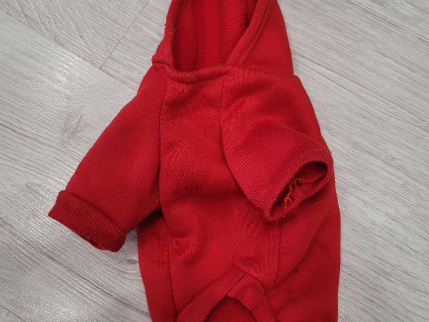 Одежда для кошек