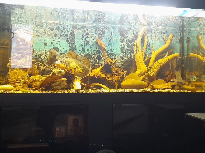 Продам аквариум вместе с тумбой