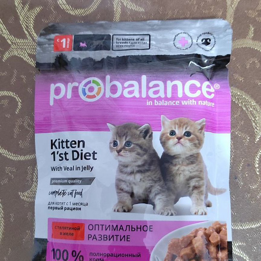 Влажный корм для котят
