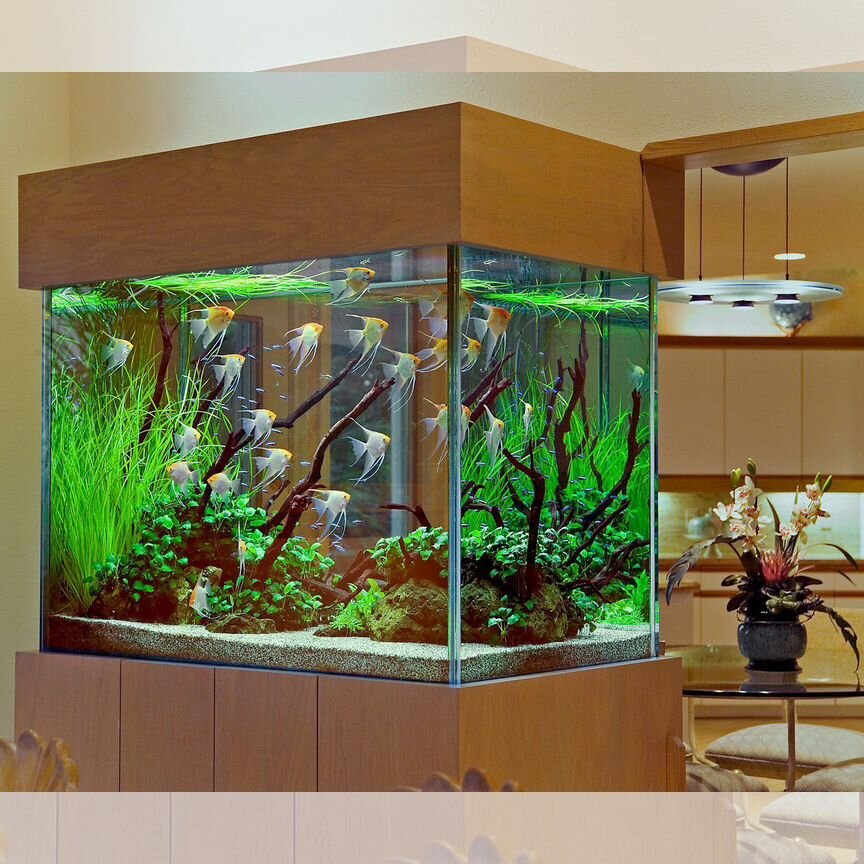 Обслуживание аквариумов