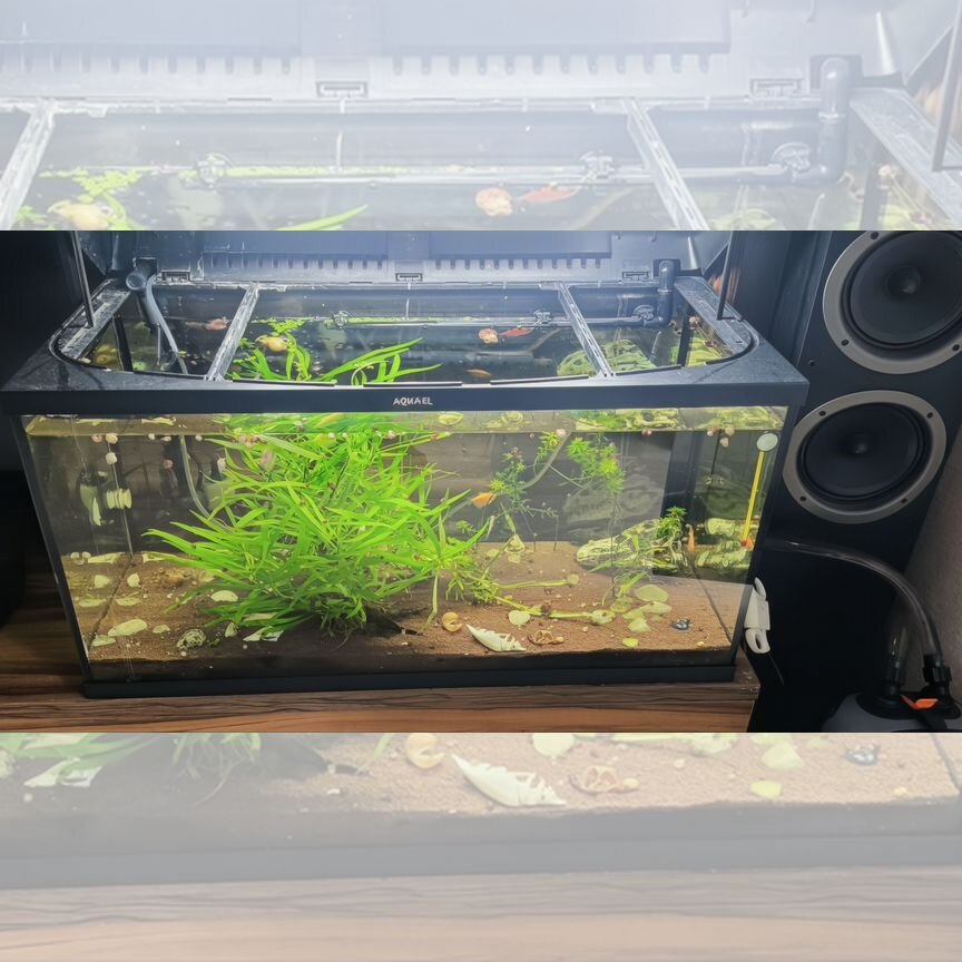 Аквариум прямоугольный 120 литров