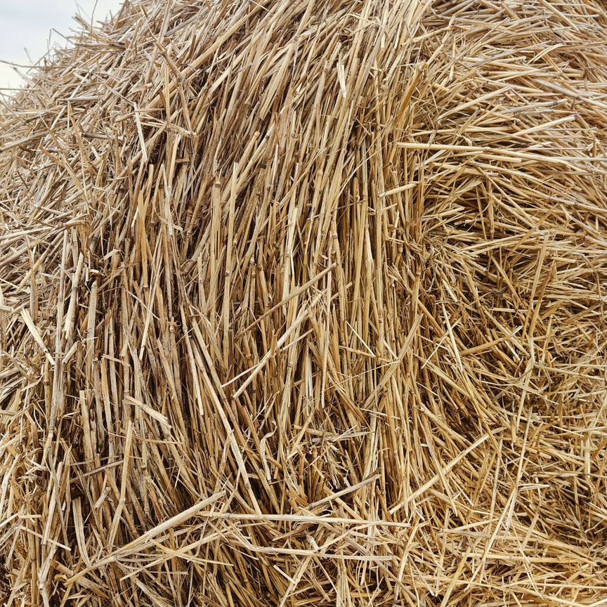 Солома в рулонах