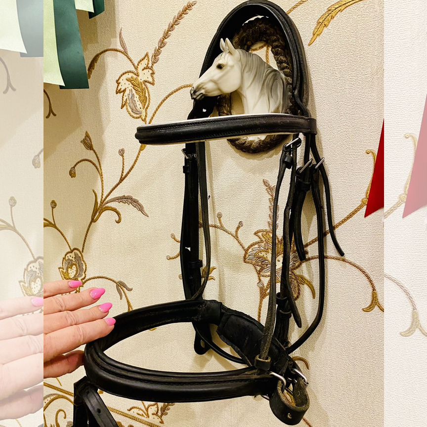 Оголовье для лошади cob