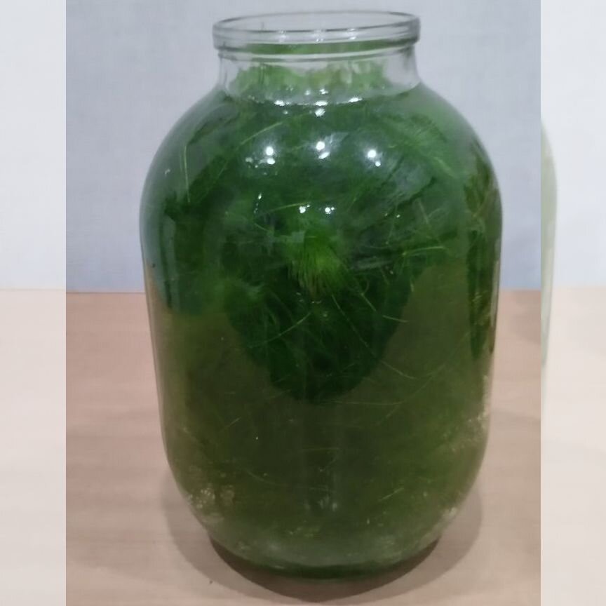 Аквариумные растения