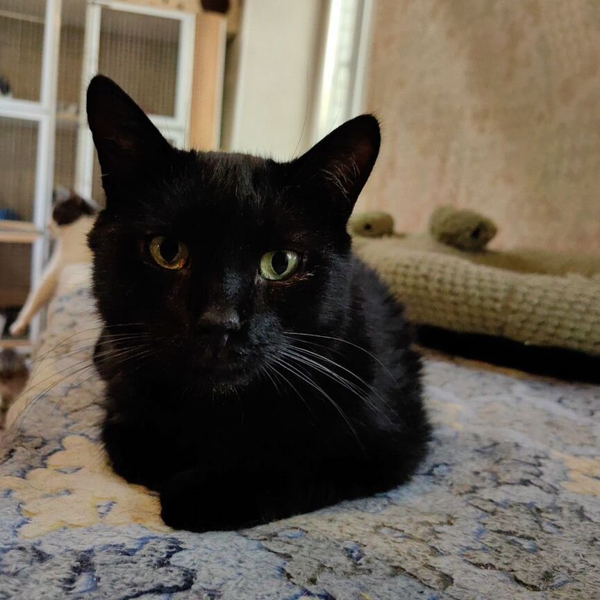 Тёме очень хочется жить в семье