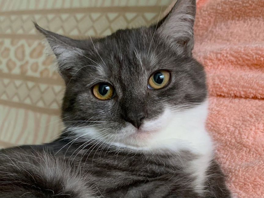 Коко Шанель - юная модница