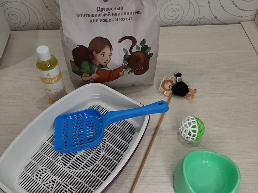 Кошачий набор для новичка