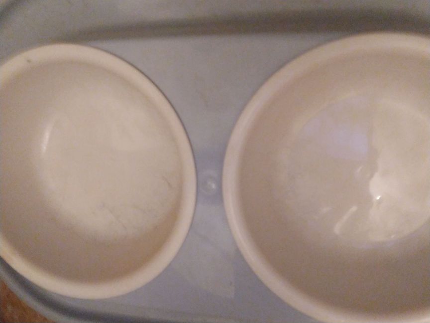 Миска для домашних животных