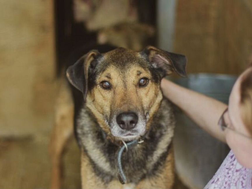 Добрейший Умка мечтает стать домашним