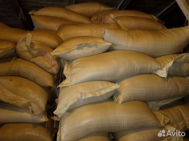 Ячмень в мешках купить в Новосибирске Животные и зоотовары Авито