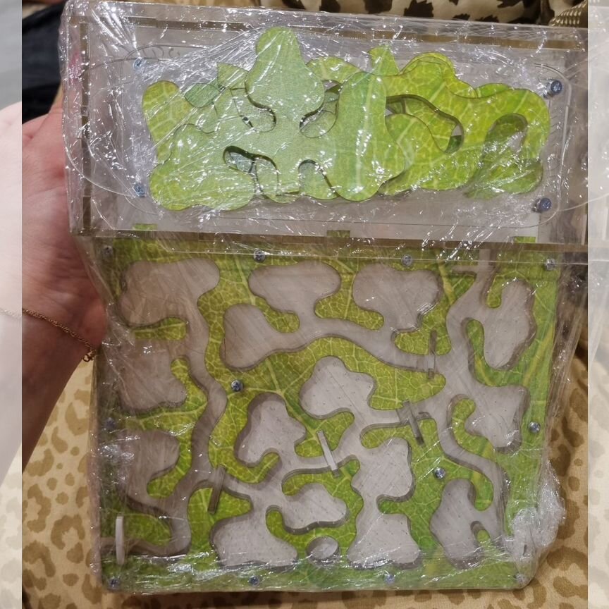 Лабиринт для муравьёв