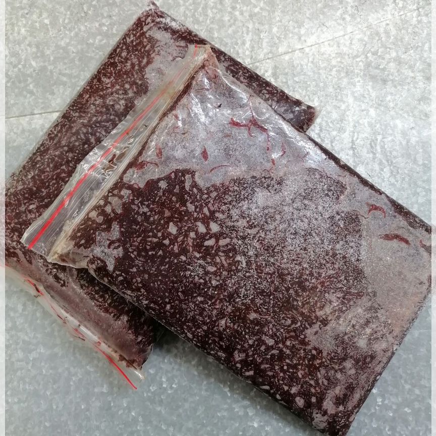 Корм для рыб