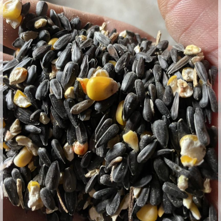 Кормосмесь