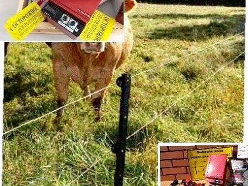 Электропастух