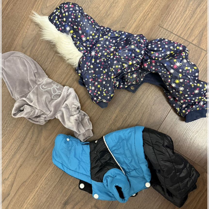 Пуховик для щенков маленьких собак