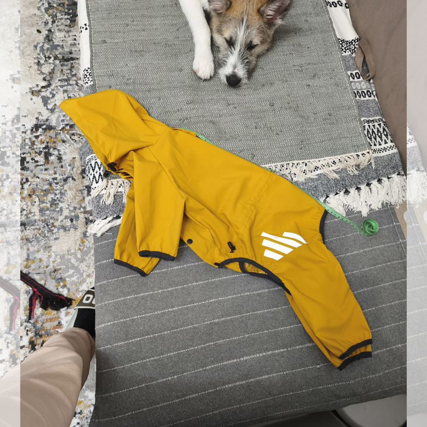 Одежда для собак средних пород мальчик б/у