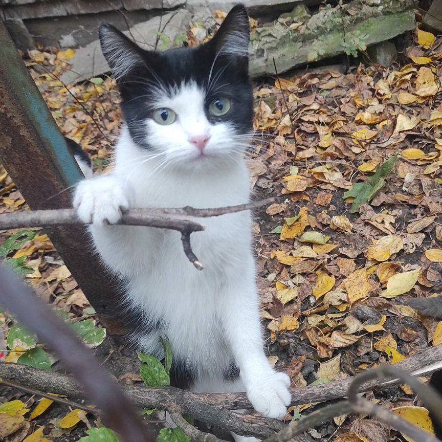 Славный малыш замерзает