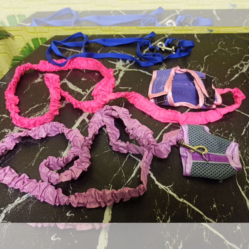 Шлейка для хорьков,котов