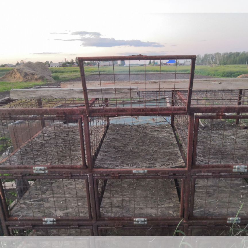 Клетки для перевозки кур