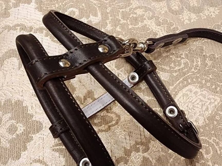 Шлейка для маленькой собаки кожа