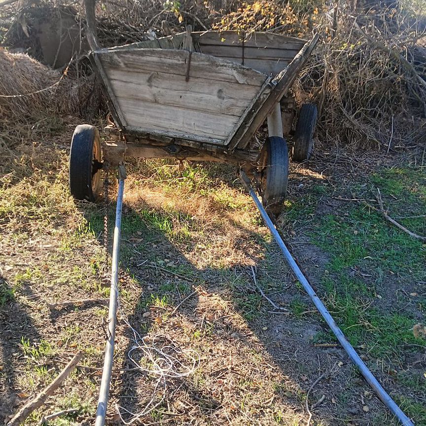 Бричка для лошади