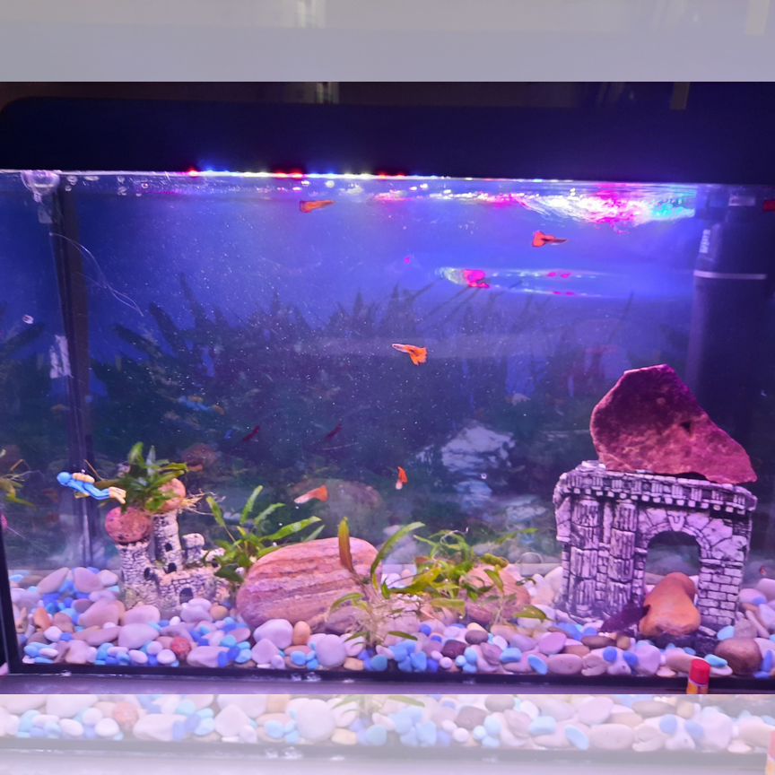 Аквариум б/у, 50 литров