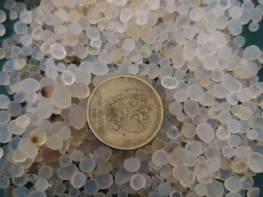 Наполнитель для кошачьего туалета. Цена за кг