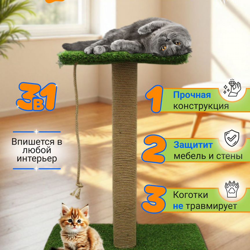 Когтеточка