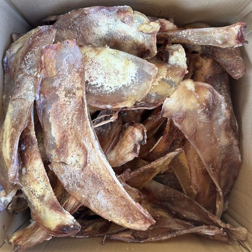 Хрящ лопаточный, сушеный. Лакомство для питомцев