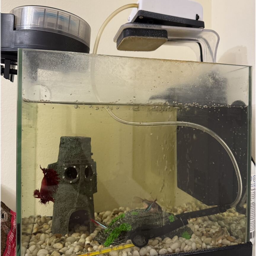 Аквариум с рыбками