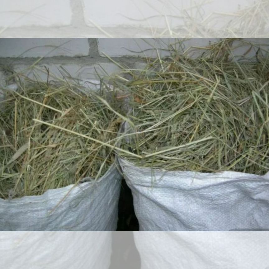 Сено в мешках