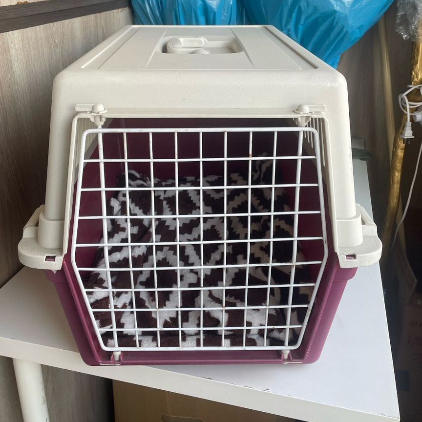 Переноска для животных бу